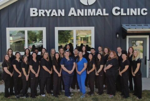 Best Veterinary Hospital In Bryan, TX | Bryan Animal Clinic