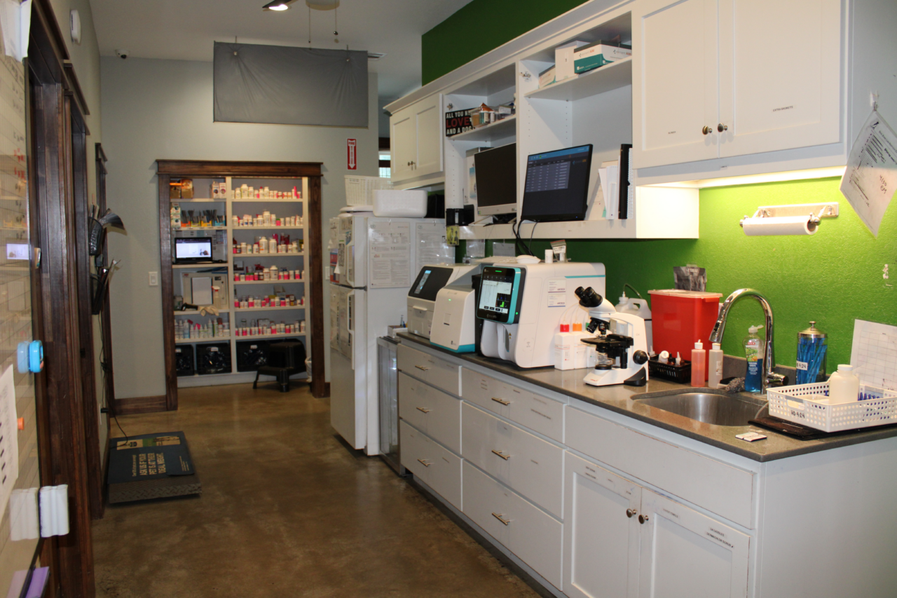 Best Veterinary Hospital In Bryan, TX | Bryan Animal Clinic